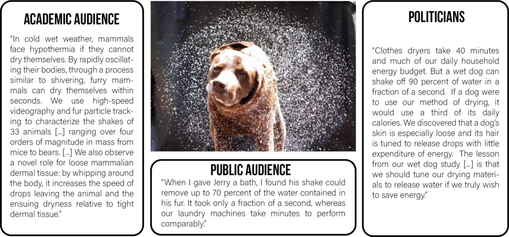 Adapting to Different Audiences – Sharp SciComm